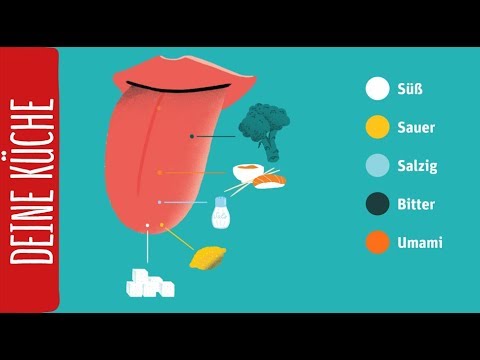 Wie funktioniert eigentlich unser Geschmack? • Chatterbug